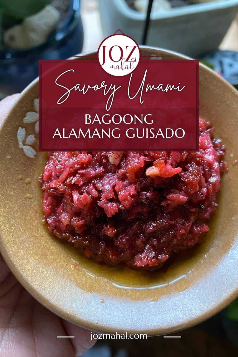 Different Types of Sinigang and How to Make This Dish - JOZmahal